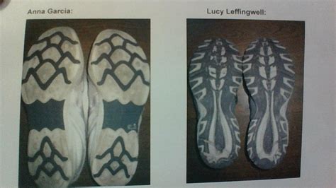 Shoeprints Principle Of Biomedical Science