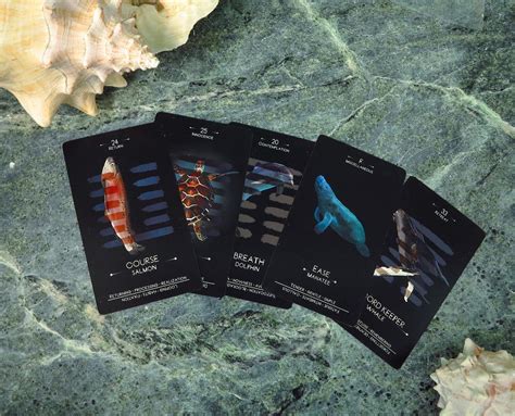 Ceremoniance The Ocean Animals From The Deck At The Top