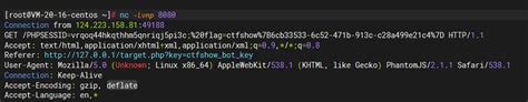 Ctfshow Xssweb316 333ctfshow Web316 Csdn博客