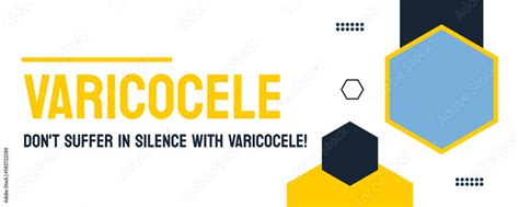 Varicocele Enlarged Veins In The Scrotum Causing Infertility Stock