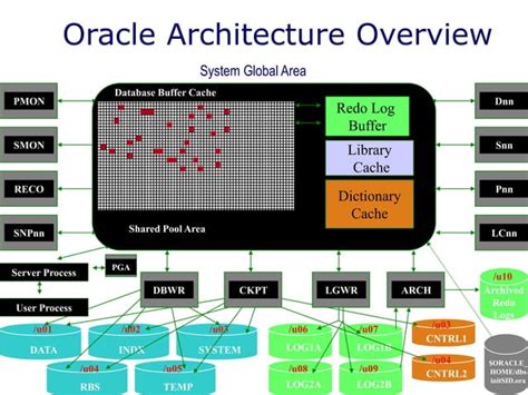 Oracle Architecture Pdf