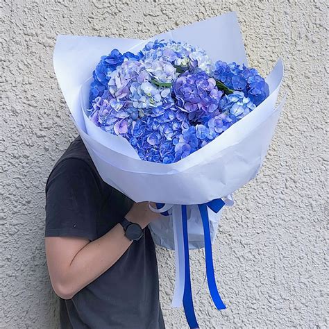 ช่อดอกไฮเดรนเยีย สีน้ำเงิน 10 ดอก ห่อช่อขนาดใหญ่พิเศษ Gentle Doves