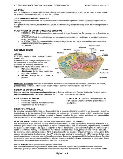 SOLUTION 01 Enfermedades Gen Ticas Genoma Humano Leyes De Mendel