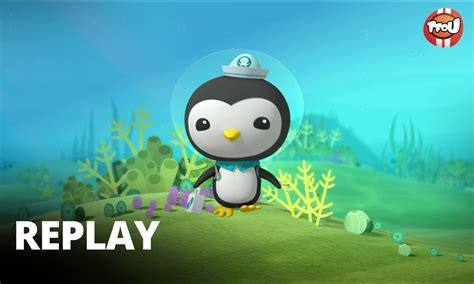 Octonauts Les Octonauts Et Le Comb Jelly Les Octonauts Tf1