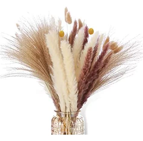 77 Pcs Natural Dried Pampas Grass Decorfor Home Decor Weddi Mercadolibre