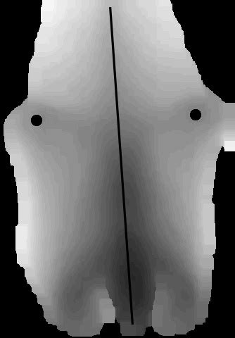 C Depth Image Processing OpenCV Stack Overflow