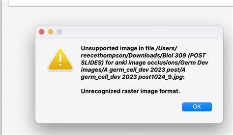Unrecognized Raster Image Format How Do I Fix This · Issue 286 · Glutanimateimage Occlusion