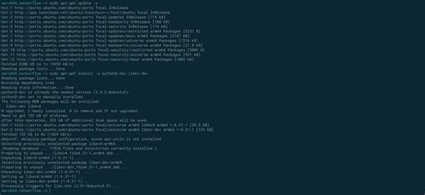 Apt Tensorflow Arm Neoverse E Could Not Open Lock File Varlibapt