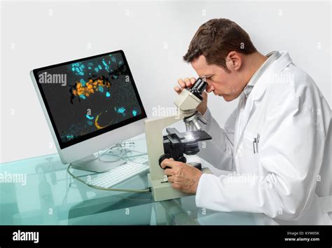 Immunofluorescence Microscope Banque De Photographies Et Dimages à