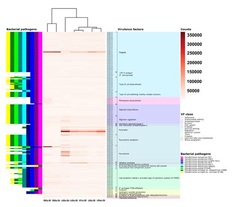 Heat Map For Predicted And Expressed Virulence Genes In Pseudomonas Download Scientific Diagram
