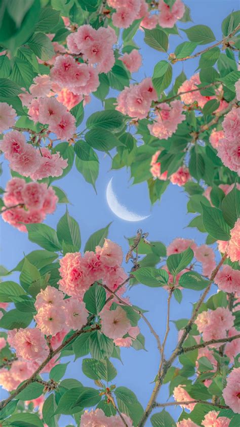 Wallpaper Artofit