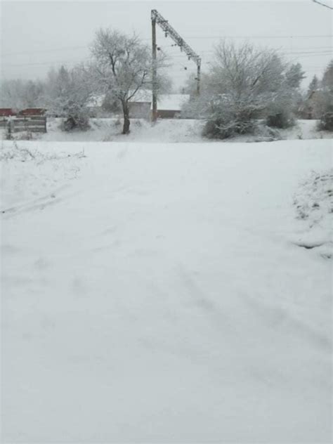 კოტეჯები კოტეჯები ცემში სასტუმრო ფერადი კოტეჯები