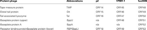List Of The Components Of The Baseplates From Lactococcal Phages