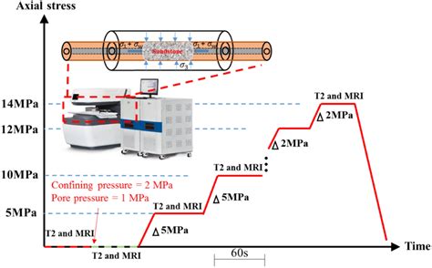 Schematic Diagram Of The Experimental Procedures Of The Triaxial Download Scientific Diagram