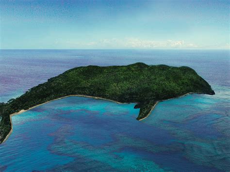 Giant Whale Island