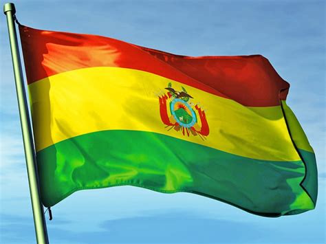 Mariposa Bandera Argentina El Insecto Que Lleva Los Colores De Una
