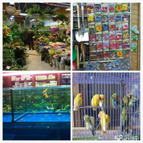 【2图】滨江商业广场（花卉水族宠物市场）株洲天元滨江一村商铺租售生意转让出租 株洲58同城
