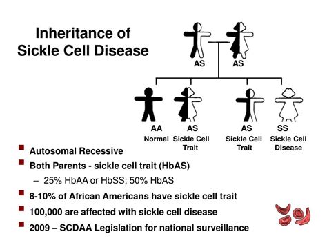 Ppt Sickle Cell Disease Research In The Genome Era Powerpoint