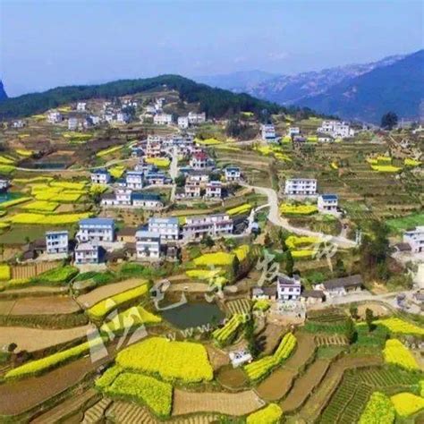 每村奖补400万 巴东4村取得申报省级美丽乡村建设试点资格金果坪乡