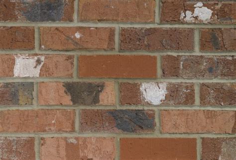 Southdown Multi Brick Datasheet Forterra Building Products Nbs Source