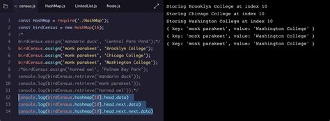 Missing Instructions And Test Case For Javascript Hashmap Bug