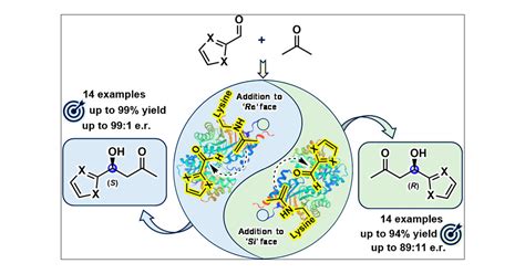 Enantiodivergent Synthesis Of Both R And S Heteroaryl Aldols By