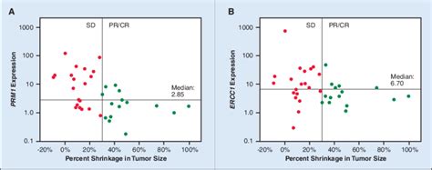 A B — Scatter Plot Of A Rrm1 And B Ercc1 Expression In Relation To
