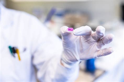 Design Strategies For Polysaccharide Hydrogels Used In Soft Tissue