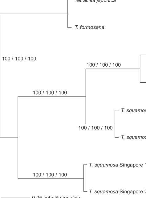 ML Phylogram Constructed From The Combined Data Of COI 12S RRNA And