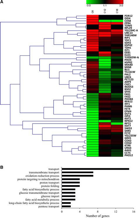 Hierarchical Clustering Of Expression Of Selected Genes Log Ratio