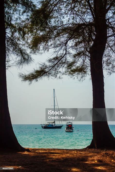 보트 쇼 어 측에서 계 류를 용골 숲 해변에서 보기 바다 숲 나무와 범선 보기 평화로운 해변 요트와 나무입니다 푸 켓 나이 양 비치에 나무 프레임에 범선 또는 용골 배 0