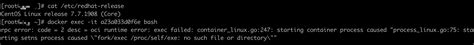 docker fork exec proc self exe no such file or directory 一个伪