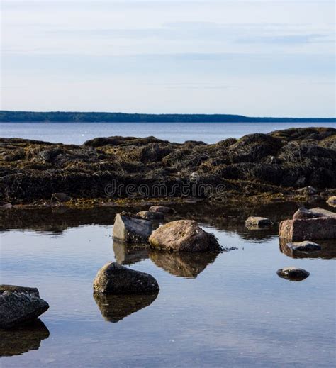 View Of A Shallow Tidal Pool In The Foreground With Penobscot Bay In
