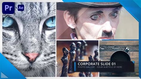 dynamic gallery video displays ft agency and church envato elements