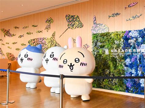 仙台うみの杜水族館で「ちいかわ」コラボイベント 館内各所にキャラクター 仙台経済新聞
