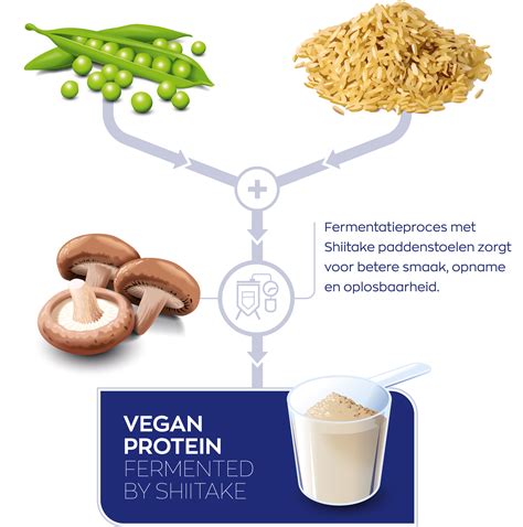 Proteïne En Eiwit Poeder Alles Wat Je Moet Weten Vitakruid Nl