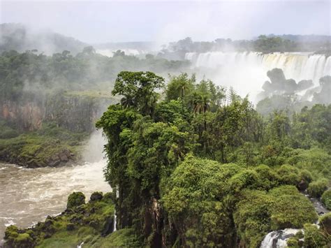 La terra dell Amazzonia è la meno fertile del mondo inNaturale