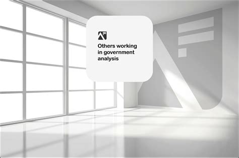 Government Analysis Function The Government Analysis Function Is A
