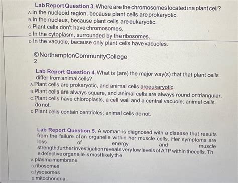 Solved Lab Report Question 3 Where Are The Chromosomes
