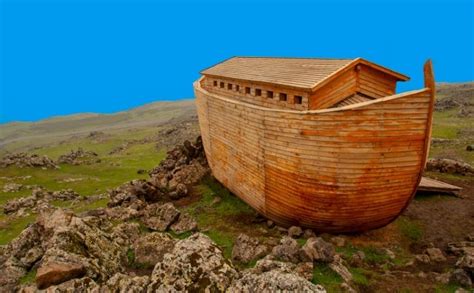How Long Did It Take Noah To Build The Ark Christianity Faq