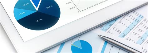 Statistical Analysis Javi Research Support Services Limited