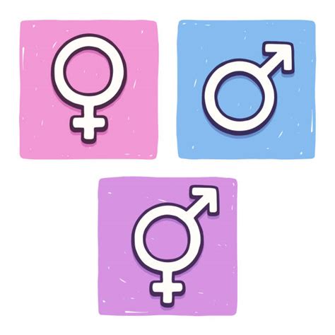 Male Symbol Female Symbol Drawing Illustrations Royalty Free Vector