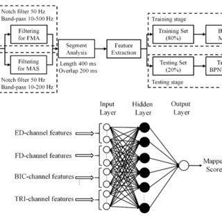 A The Procedure Of Semg Signal Processing B The Structure Of The