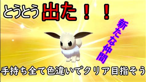 【ポケモン剣盾】クスネ厳選160時間やった漢の末路 色違いポケモンで旅に出よう Youtube