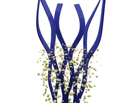 Padel Domo Sports Grass