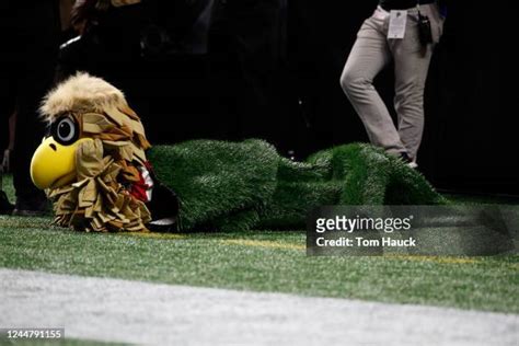 Atlanta Falcon Mascot Photos And Premium High Res Pictures Getty Images