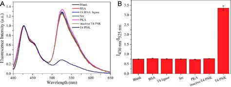 Specificity Evaluation Of The Proposed T4 Pnk Assay The Fluorescence
