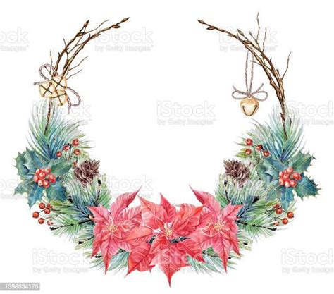 Poinsettia Holly 열매 소나무 가지 및 콘의 수채화 휴일 화환 산 딸기류에 대한 스톡 벡터 아트 및 기타 이미지