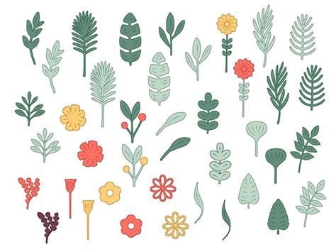 Premium Vector Nature Botanical Vector Elements