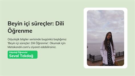 Vestibüler Sistem Anatomisi MEtokondri
